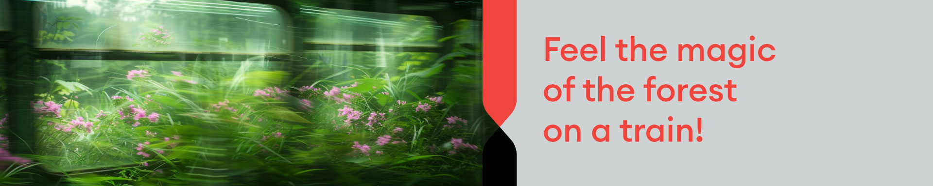 The Forest Train | LTG Link
