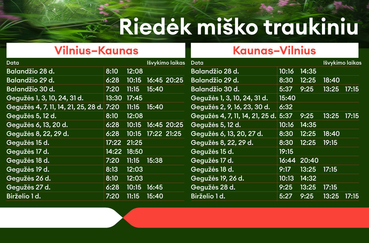 Miško traukinys | LTG Link