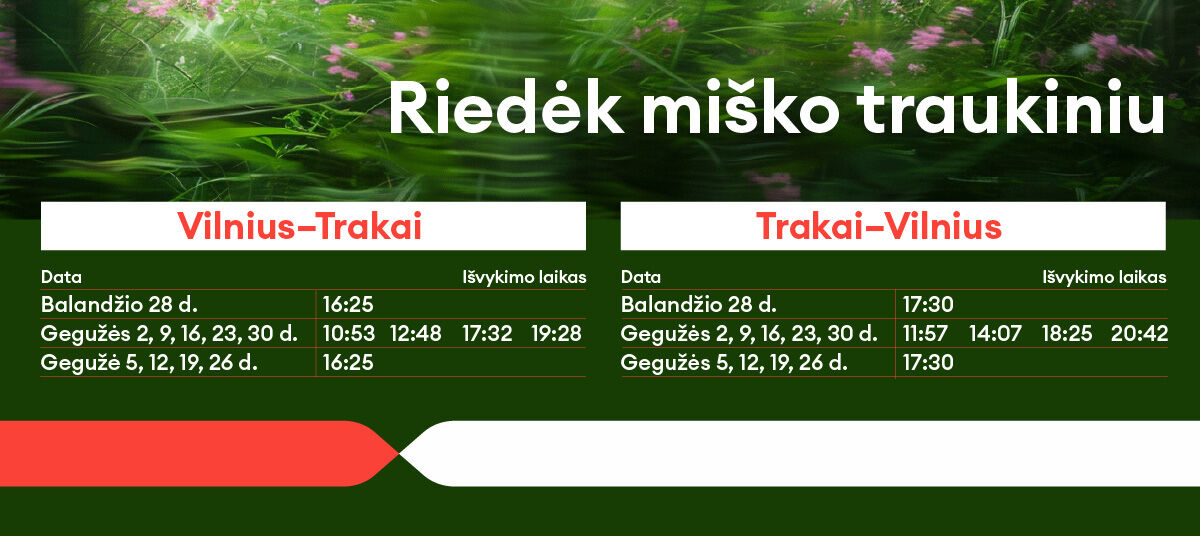 Miško traukinys | LTG Link