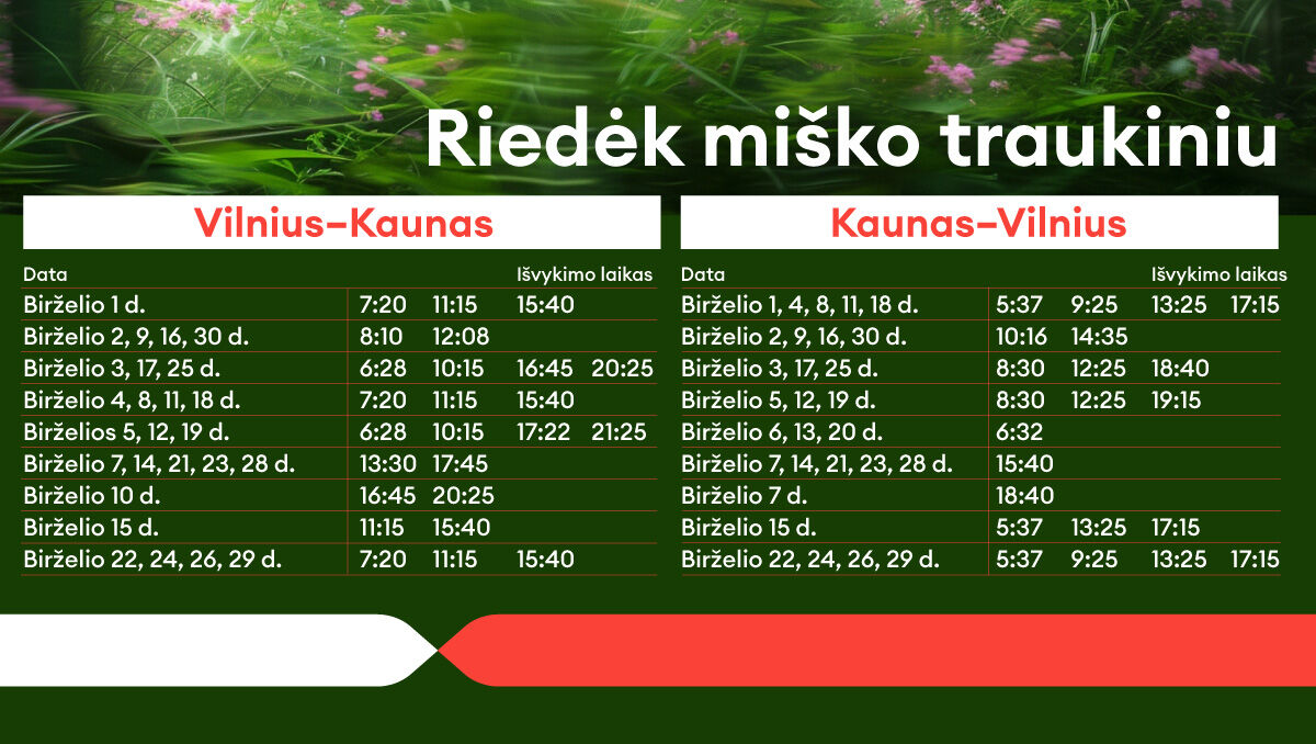 Miško traukinys | LTG Link