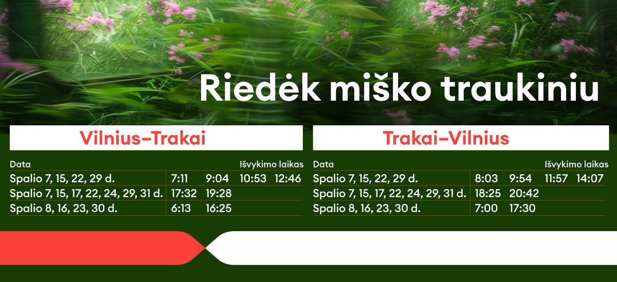 Miško traukinys | LTG Link
