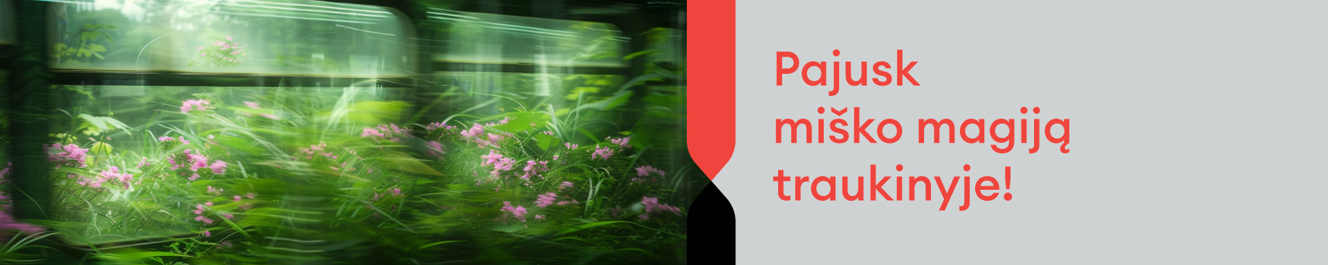 Miško traukinys | LTG Link